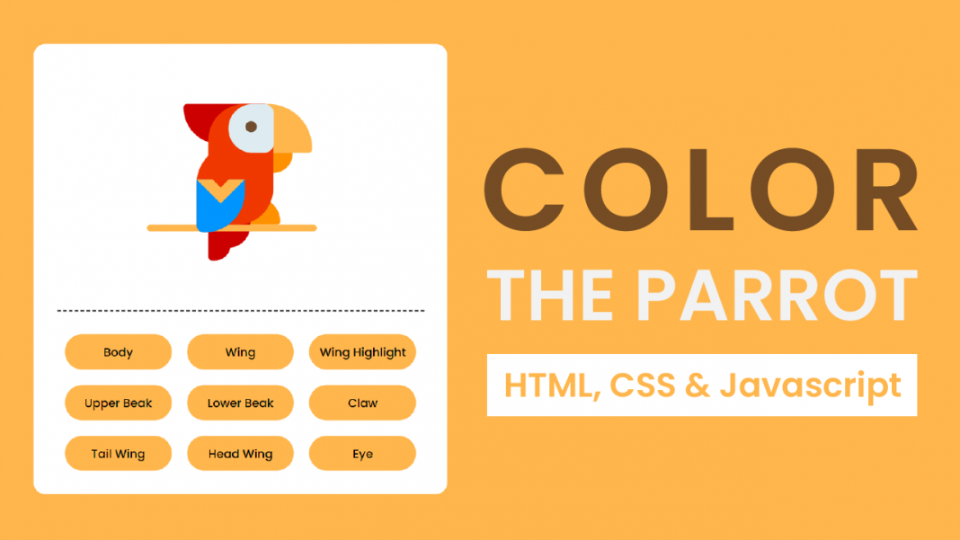 Color The Parrot Javascript Project | Coding Artist