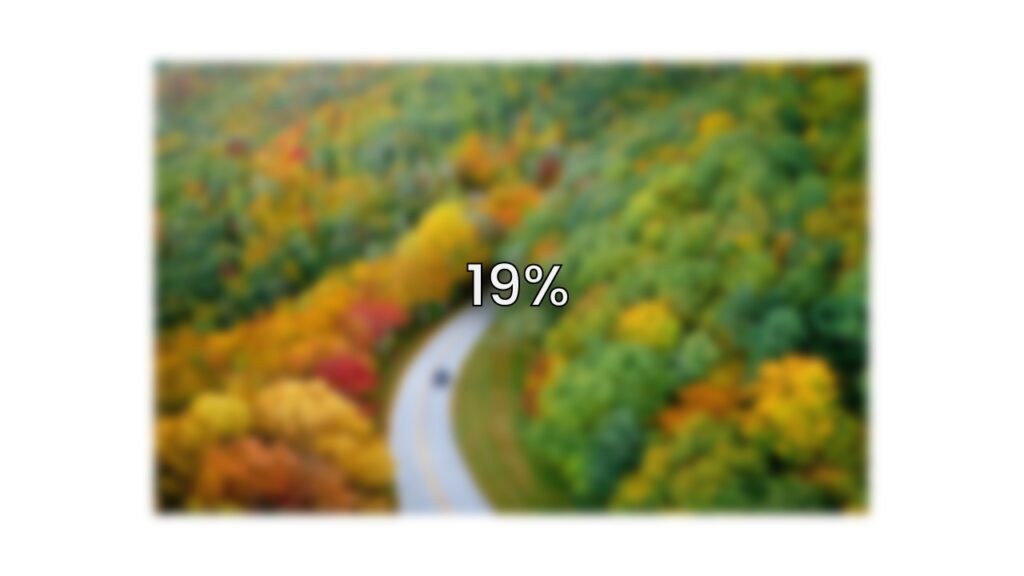 Image Loading Blur Effect | Coding Artist Image Loading Blur Effect | Coding Artist